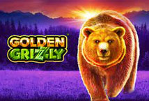 Golden Grizzly Demo Slot | Play for Free