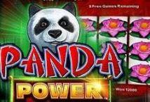 Panda Power Slot - Free Play in Demo Mode