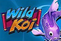 Wild Koi Slot - Free Play in Demo Mode