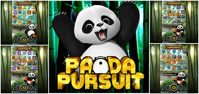 Panda Pursuit Demo Slot | Play for Free