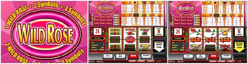 Wild Rose Slot - Free Play in Demo Mode
